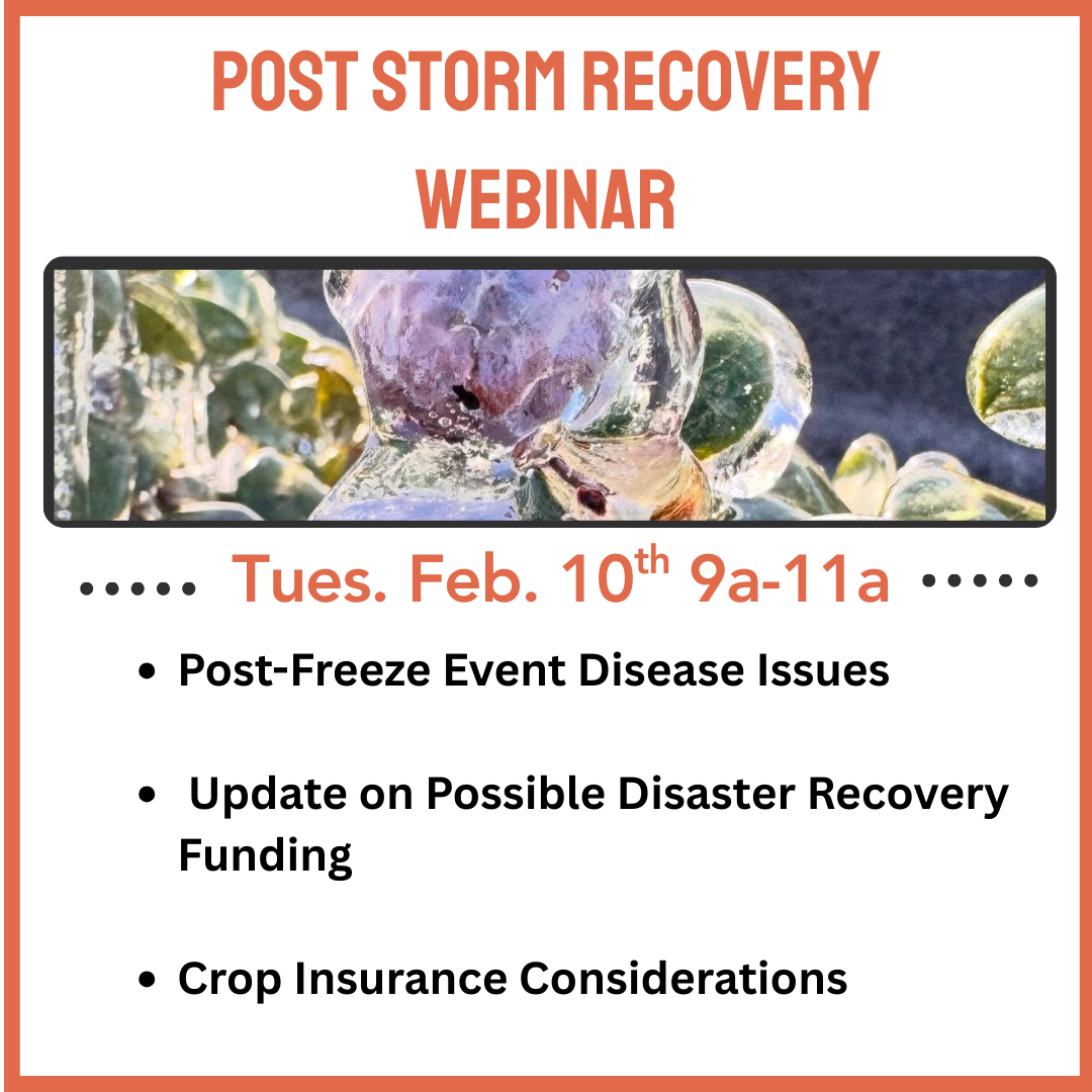 Florida Blueberry Growers Association